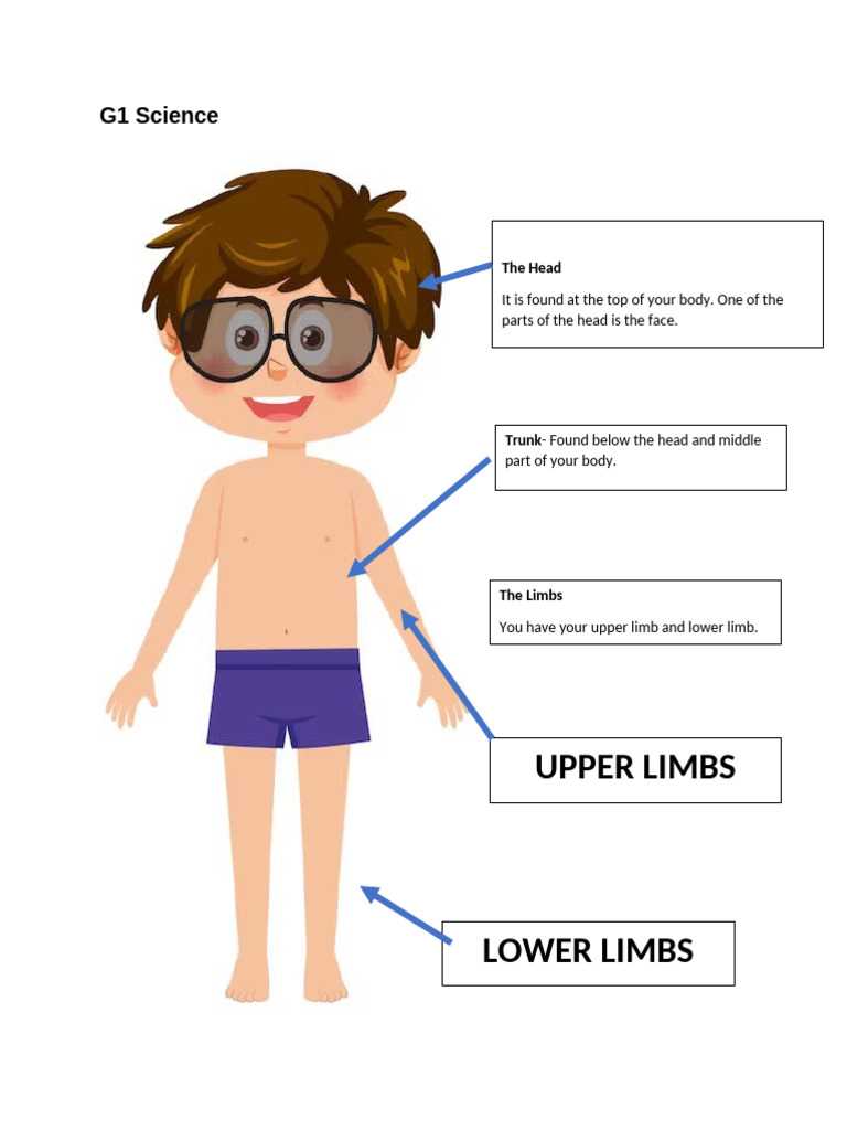 G1-SCIENCE | PDF | Pet | Zoology
