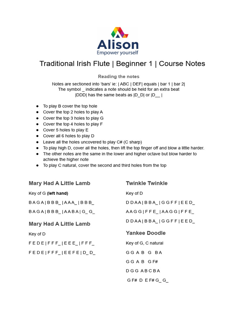 Traditional Irish Flute - Beginner 1 - Course Notes | PDF