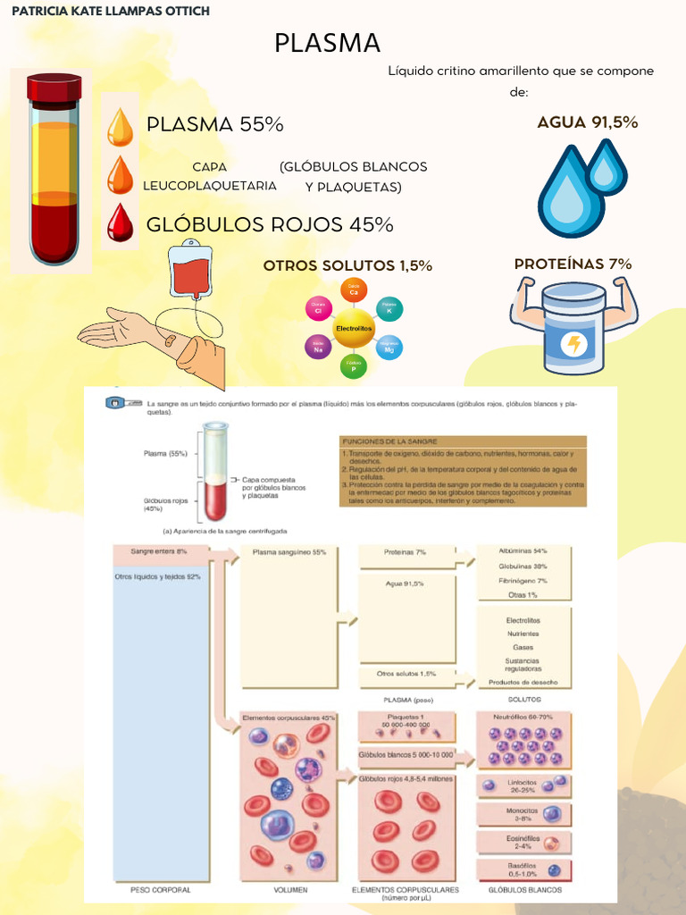 Composición del Plasma Sanguíneo | PDF