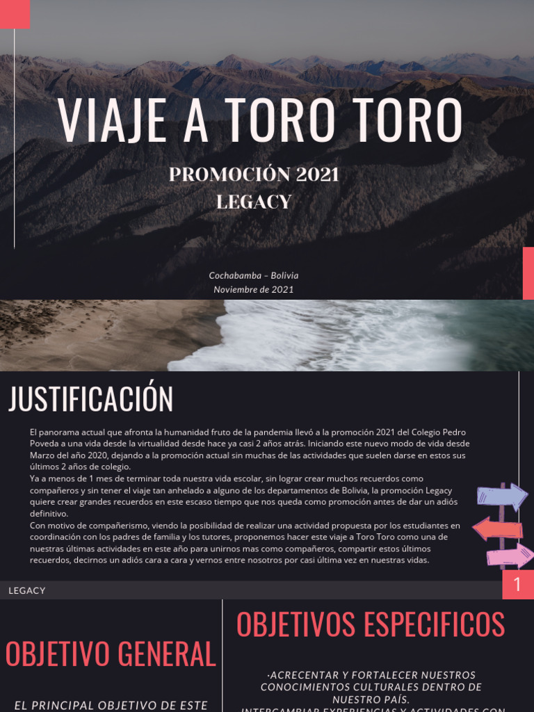 Toro Toro | PDF
