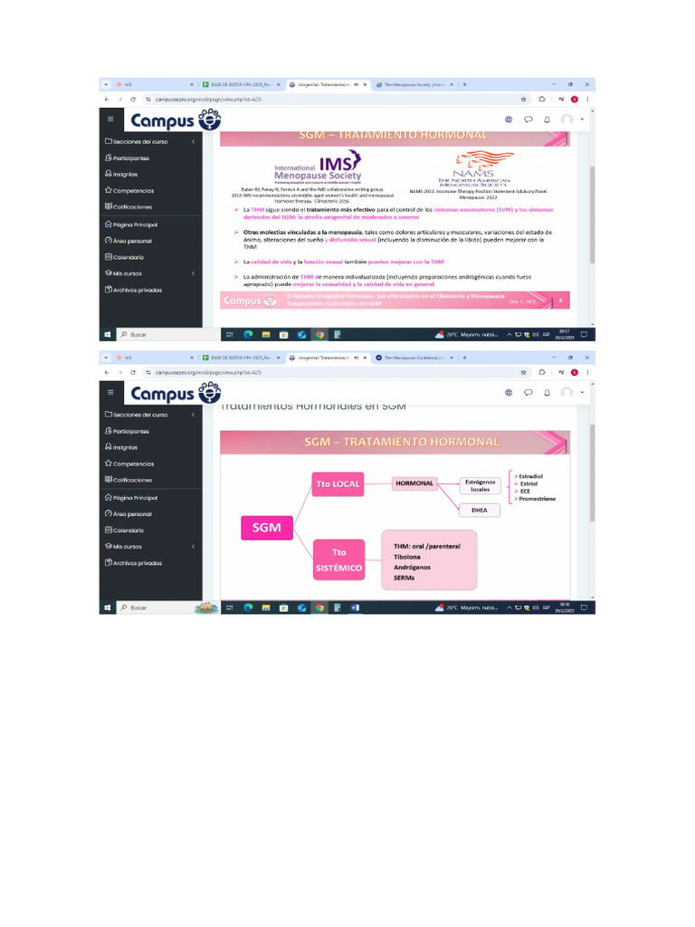 Climaterio THM | PDF