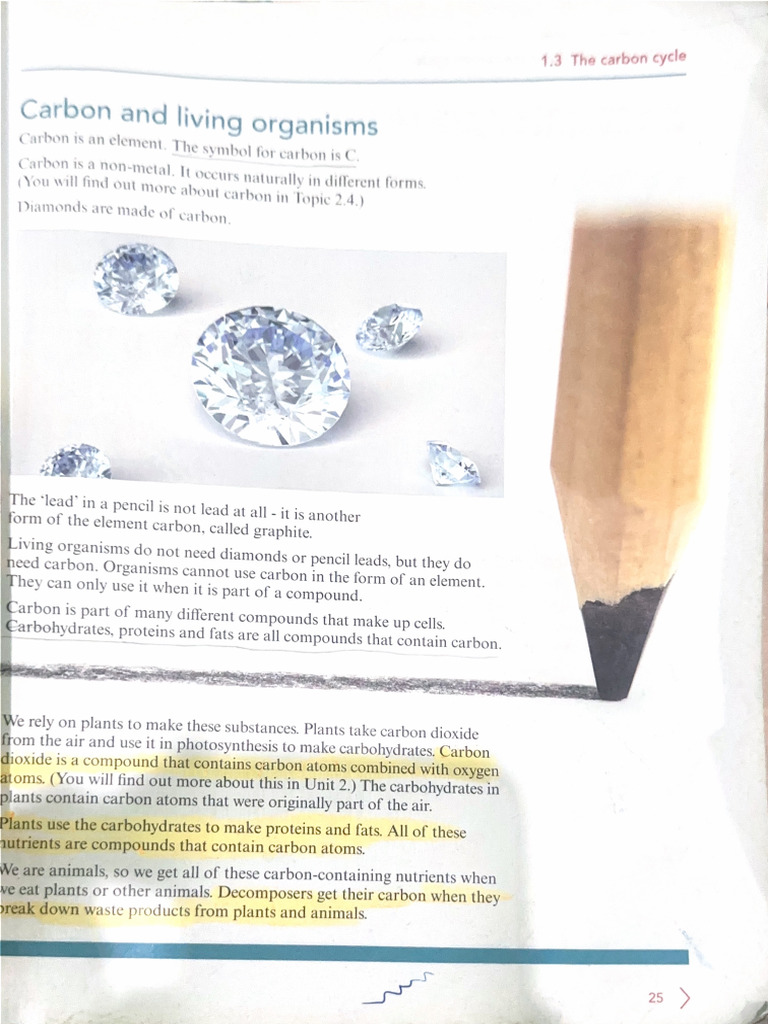 Carbon Dioxide Returning | PDF