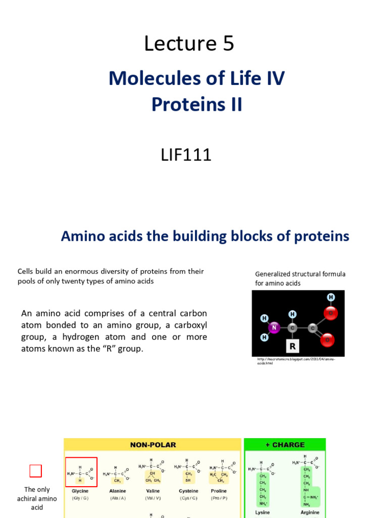 Understanding Protein Structures and Functions | PDF | Protein ...