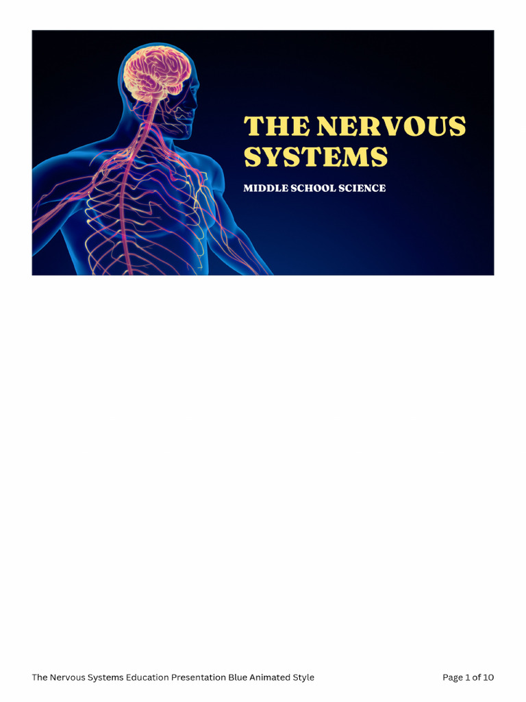 The Nervous Systems Education Presentation Blue Animated Style ...