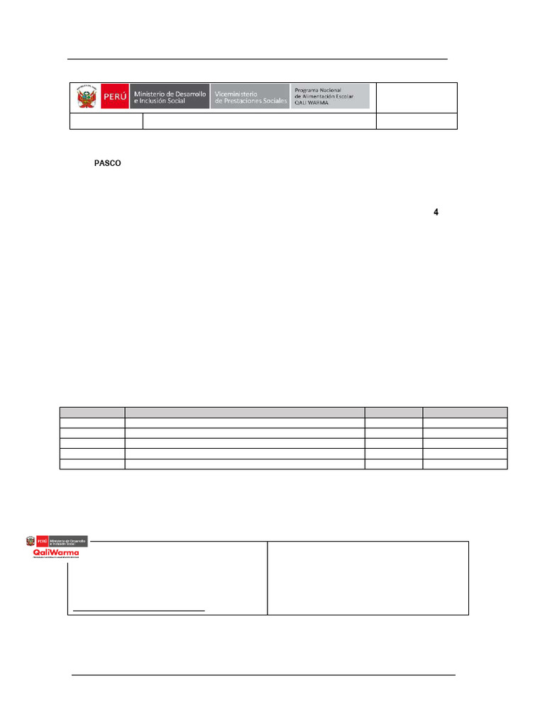 Formato Cae 2025 | PDF