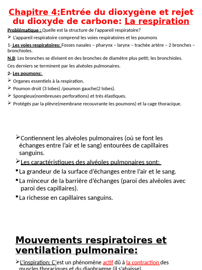 Chapitre 4 La Respiration | PDF | Respiration | Système respiratoire
