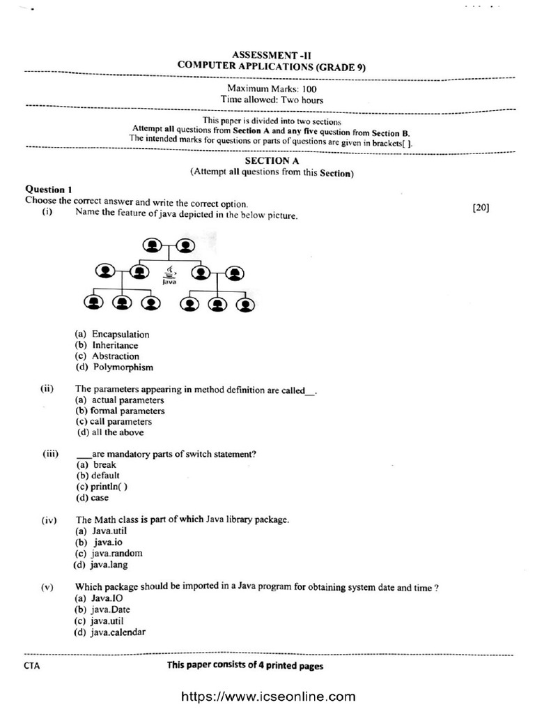Icse Class 9 Assessment 2 Computer Applications 270225 2025 | PDF