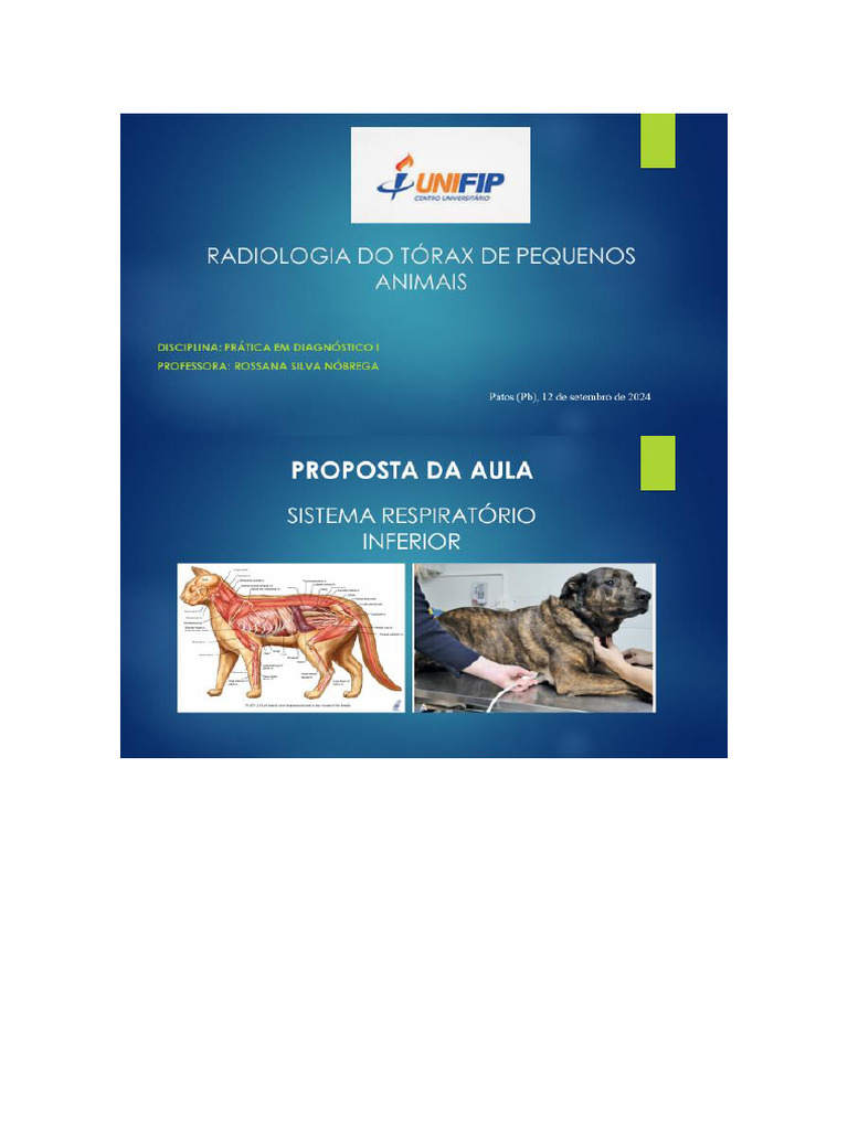 Radiologia e Ultrassonografia Abdominal Peq Set | PDF