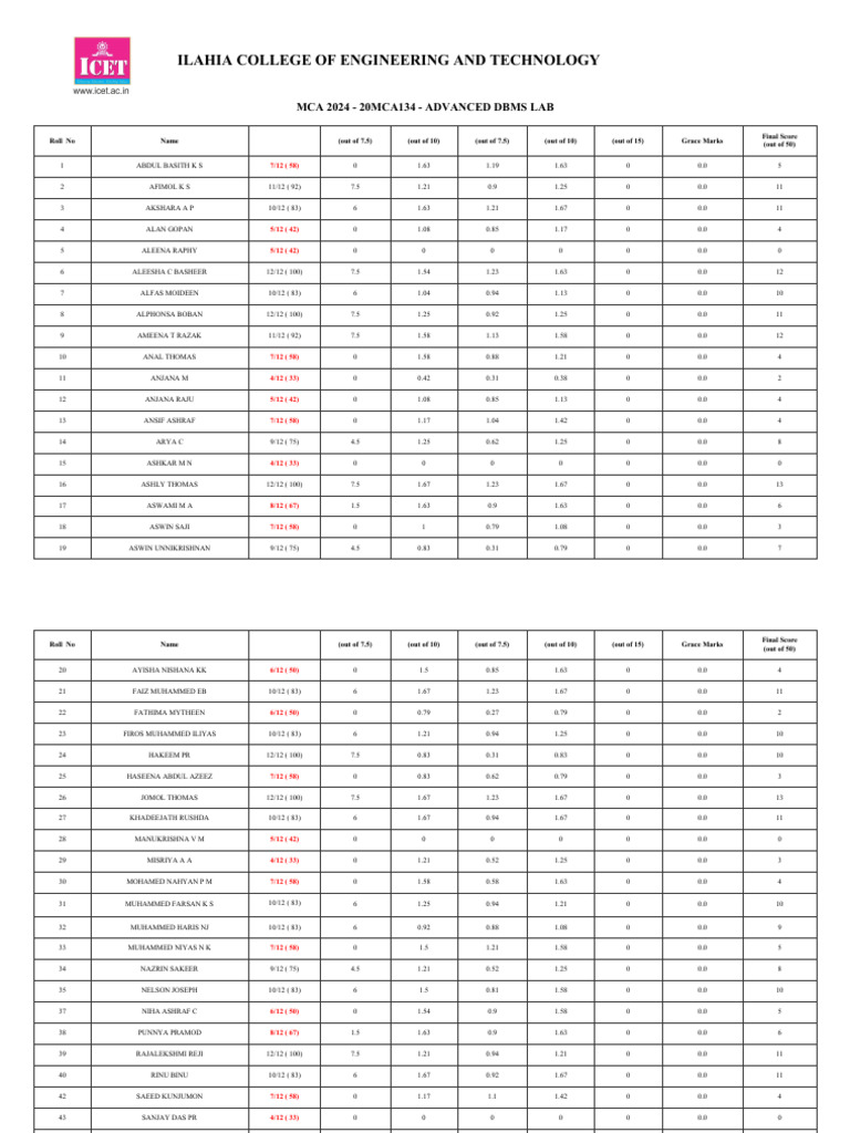InternalMark MCA 2024 | PDF