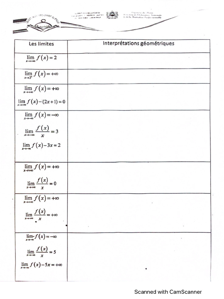 Branches Infinies - Exercice - Interprétation Géométrique. | PDF