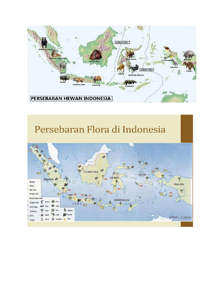 Peta Persebaran | PDF