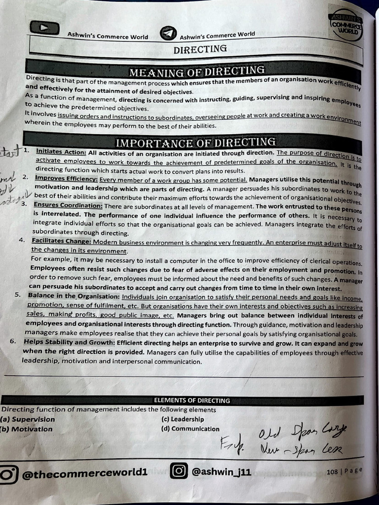 Directing | PDF | Social Psychology | Business