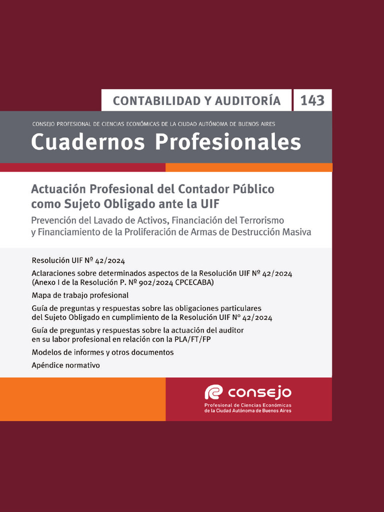 CP 143 | PDF | Contador | Auditoría