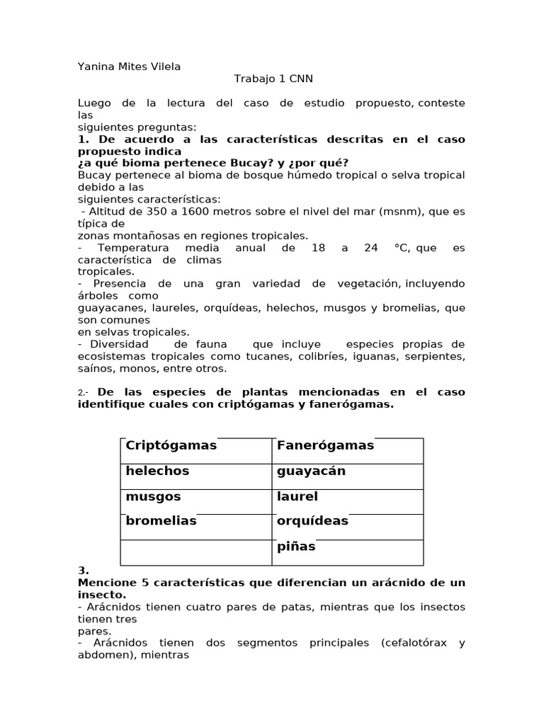 CCNN m1 U1 AP Yanina Mites Vilela | PDF | Roca sedimentaria | Roca ...