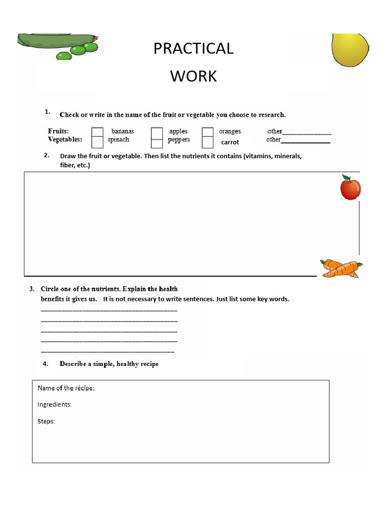 Practical Work | PDF