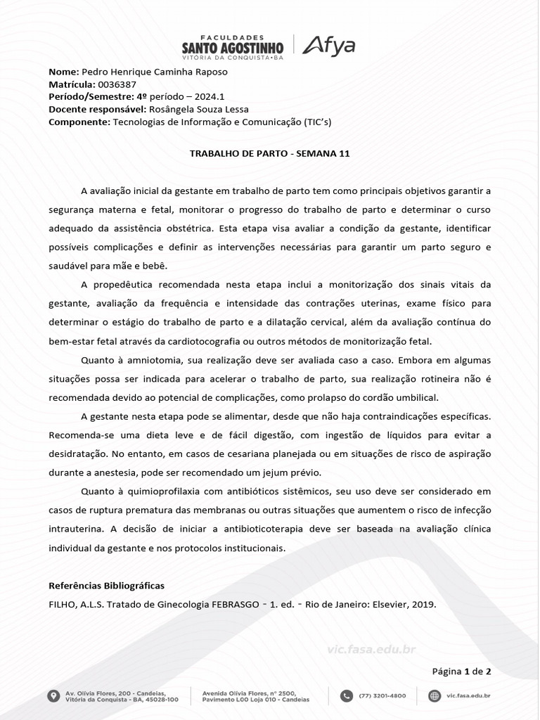 Modelo de Tarefa - Tic's 2024.1 | PDF | Gravidez | Parto