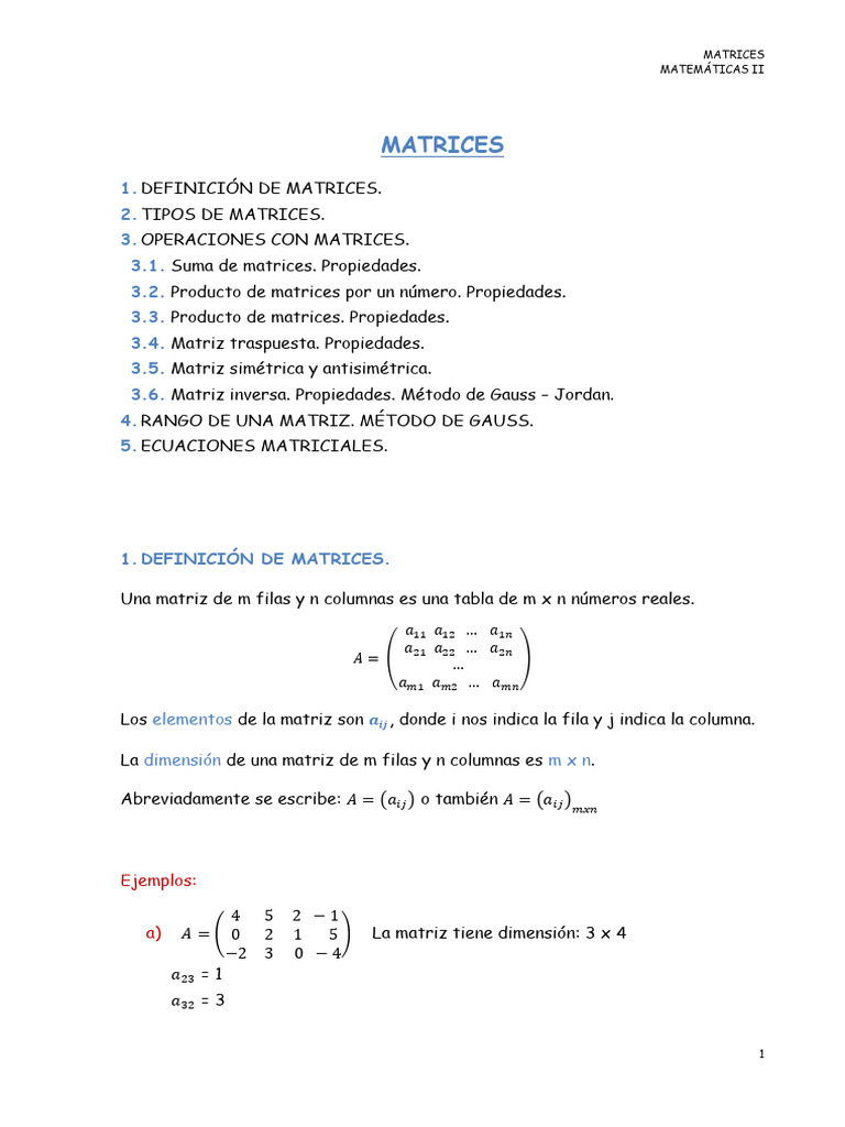 Teoría de Matrices | PDF | Matriz (Matemáticas) | Funciones y mapeos
