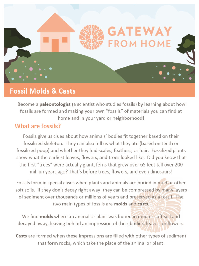 Fossil-Molds-Casts 240312 152800 | PDF | Fossil | Plaster