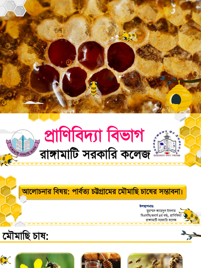 Bee Honeycomb Pattern | PDF
