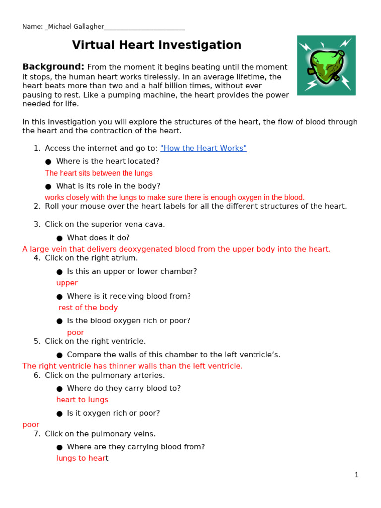 Virtual Heart Investigation | PDF | Heart | Coronary Circulation