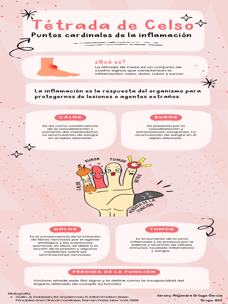 Infografías Tétrada-Hematoma | PDF | Sangre | Inflamación