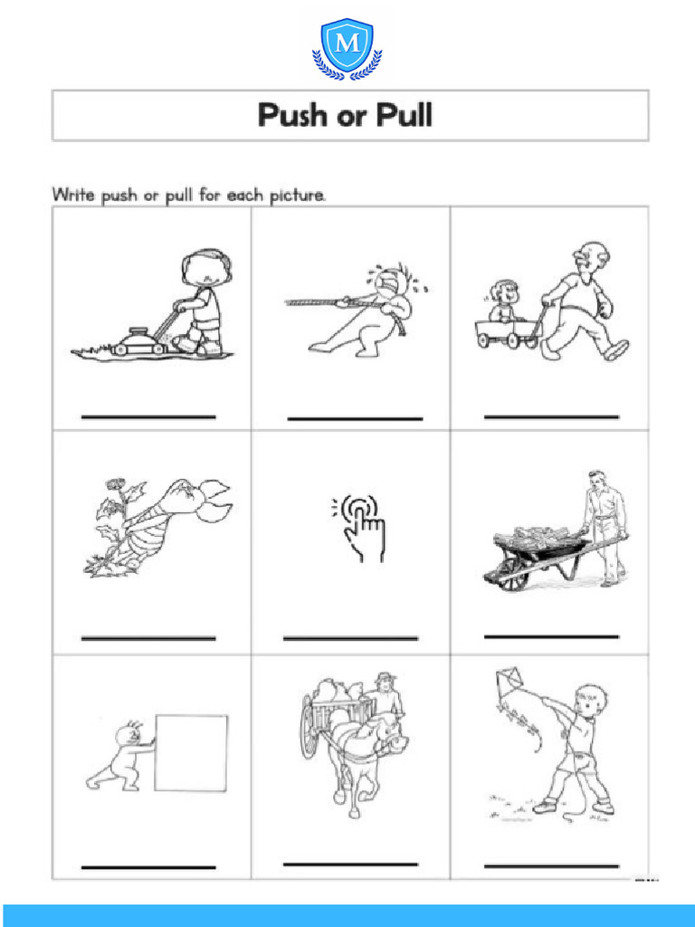 Year-1 Science Worksheet | PDF