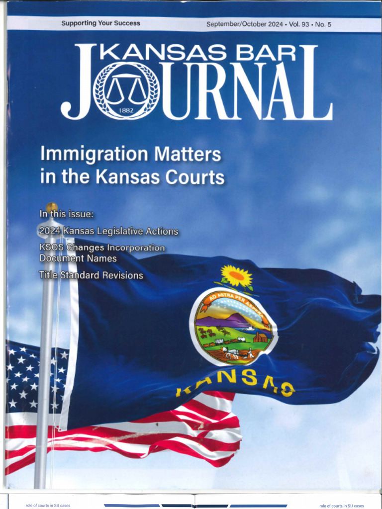 The Essential Role of State Courts in Special Immigrant Juvenile Cases ...