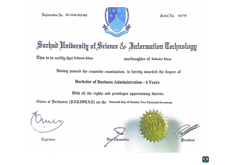 BBA Hons Degree | PDF