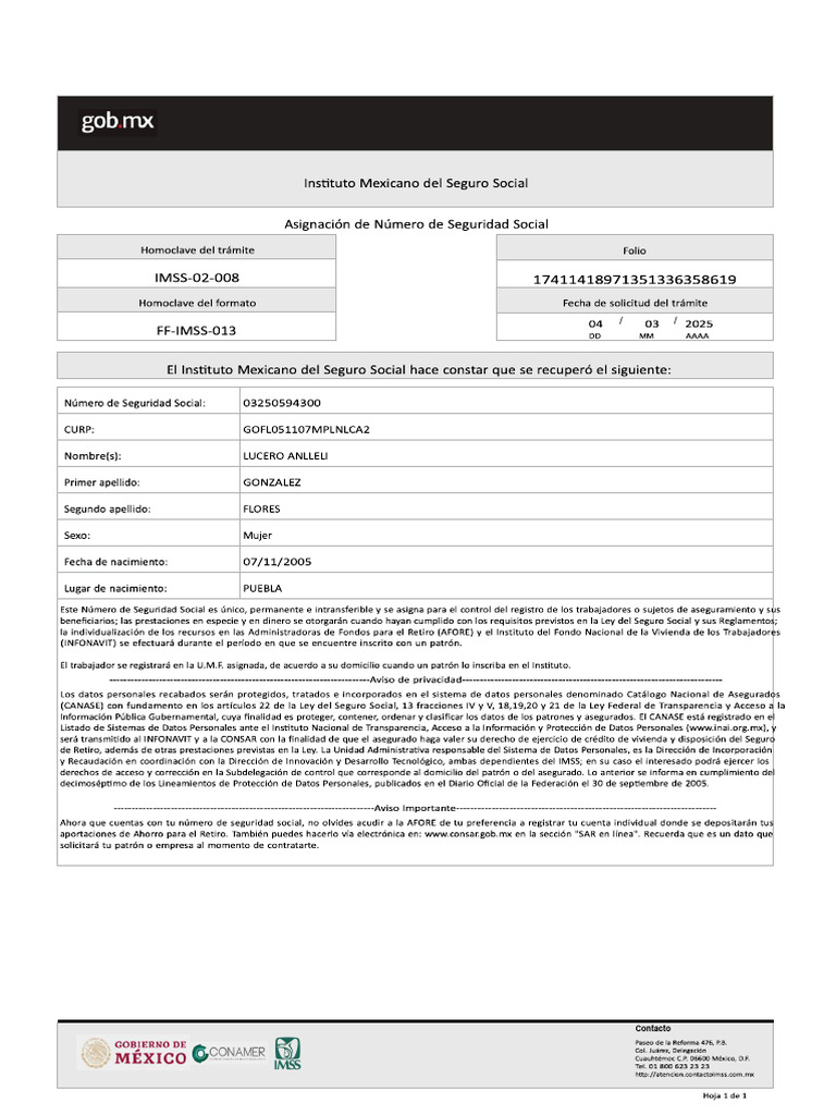 Comprobante NSS | PDF