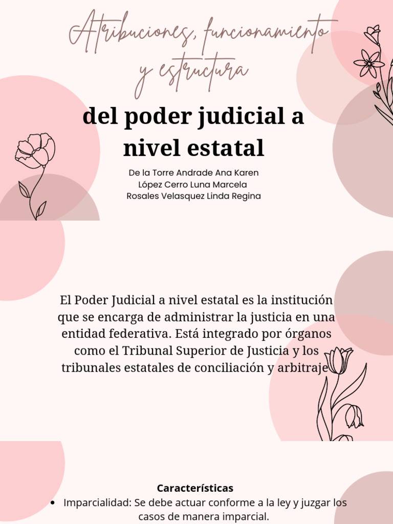 Atribuciones, Funcionamiento y Estructura Del Poder Judicial A Nivel ...