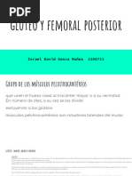 Anatomía y Cultura de las Nalgas | PDF | Nalgas | Anatomía humana