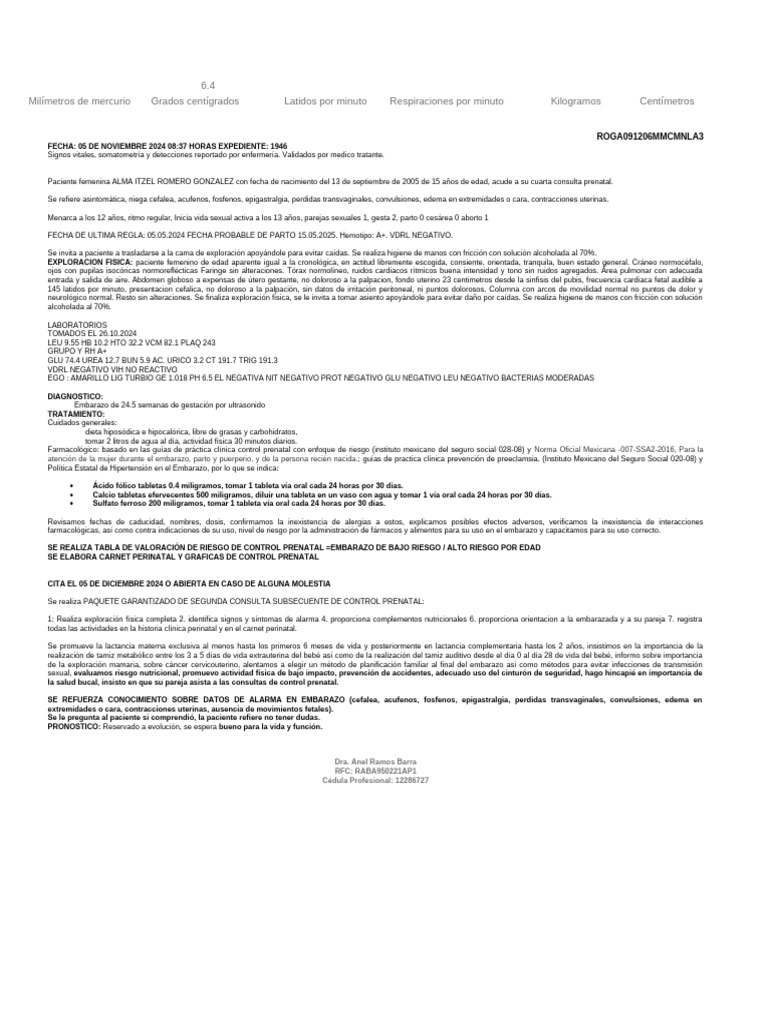 Alma Itzel Romero Gonzalez Nov | PDF | Parto | El embarazo