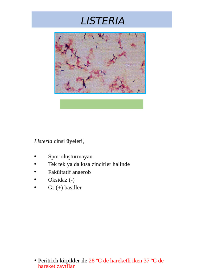 Listeria | PDF