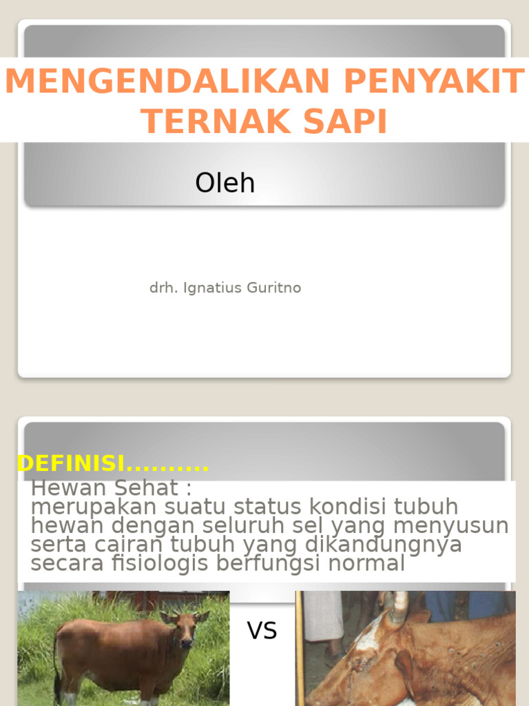 Mengendalikan Penyakit Sapi Potong | PDF