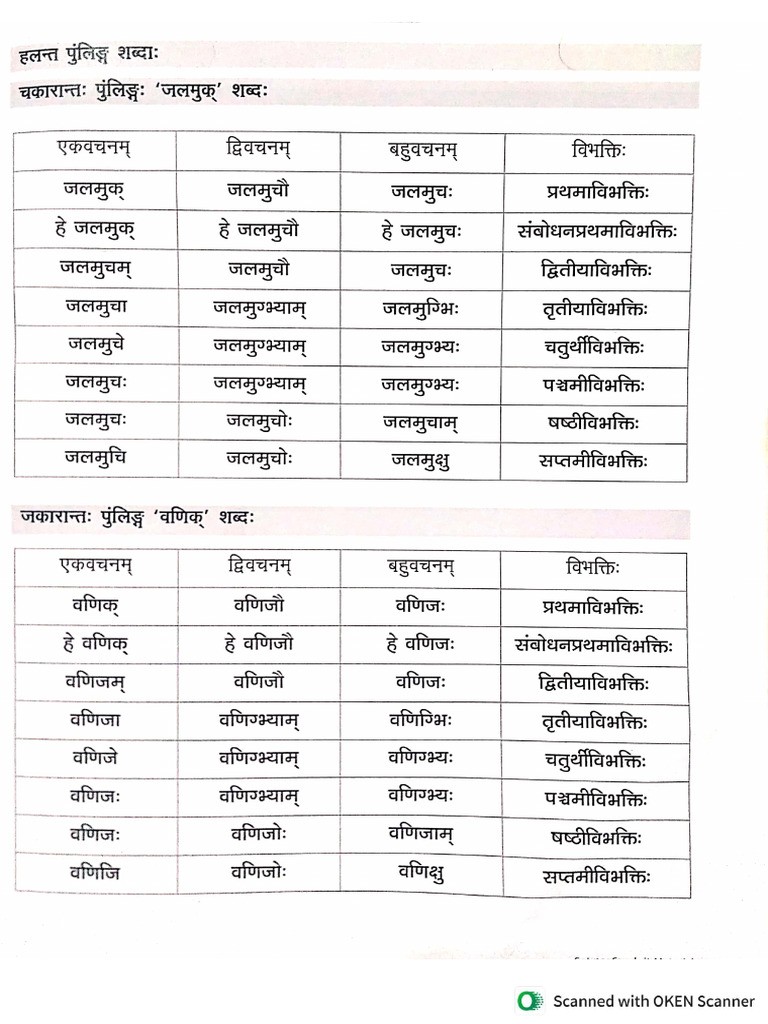 Sanskrit Ipe Answers 1 | PDF