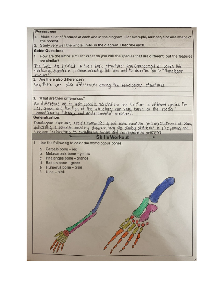 Activity 3.1 - Mutations That Causes Changes To Structure and Function ...