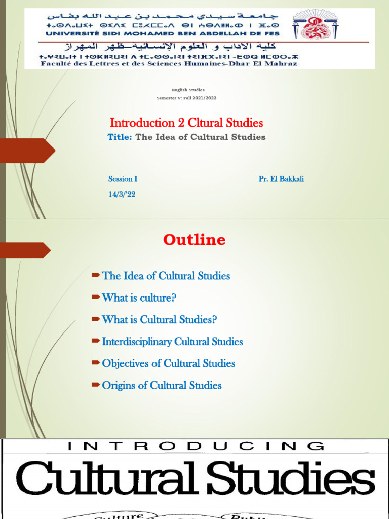 Understanding Cultural Studies Concepts | PDF | Cultural Studies | Theory