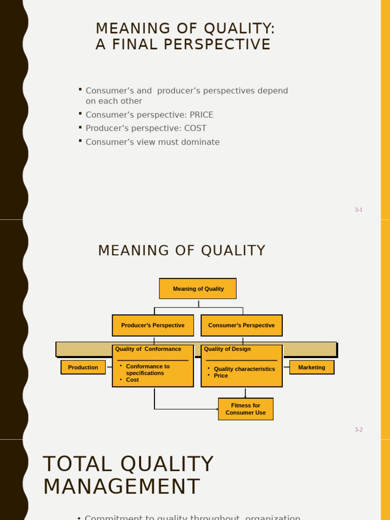 Understanding Quality in TQM | PDF