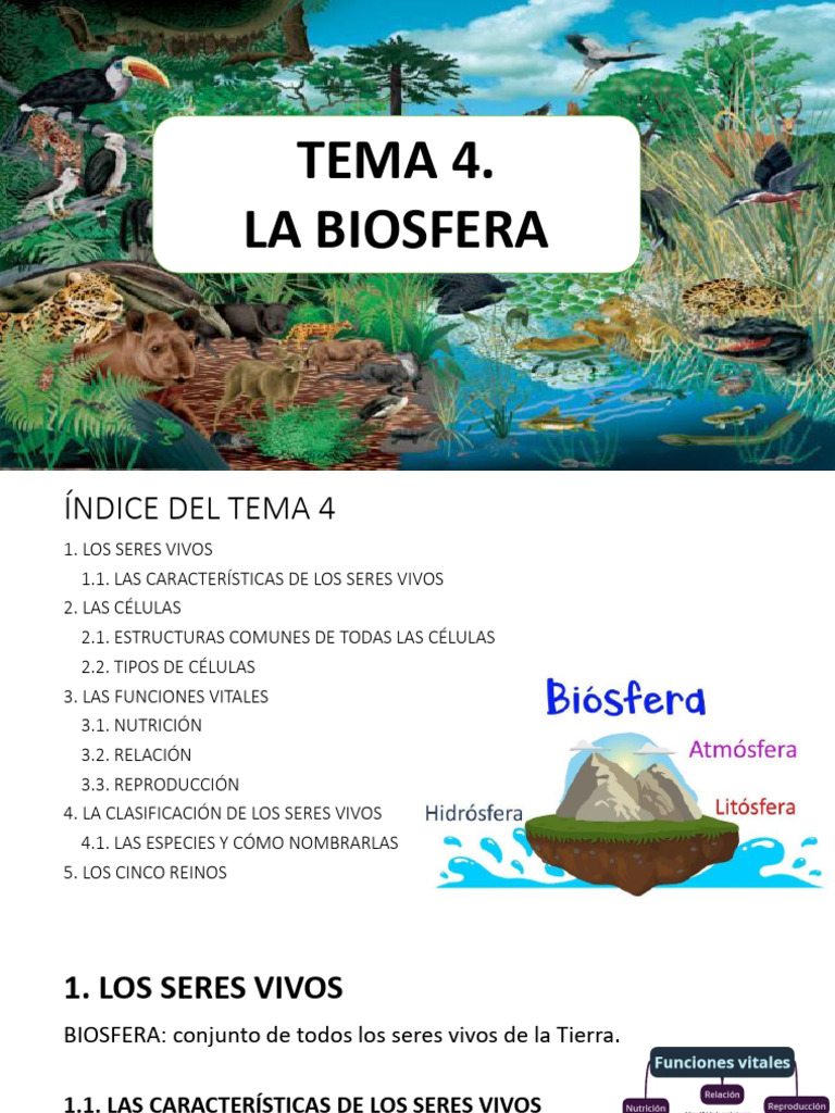 Tema 4. La Biosfera | PDF | Biología Celular) | Organismos