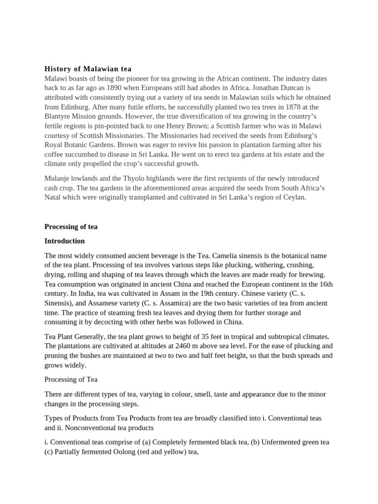 Tea production group assignment_090655 | PDF | Tea | Green Tea