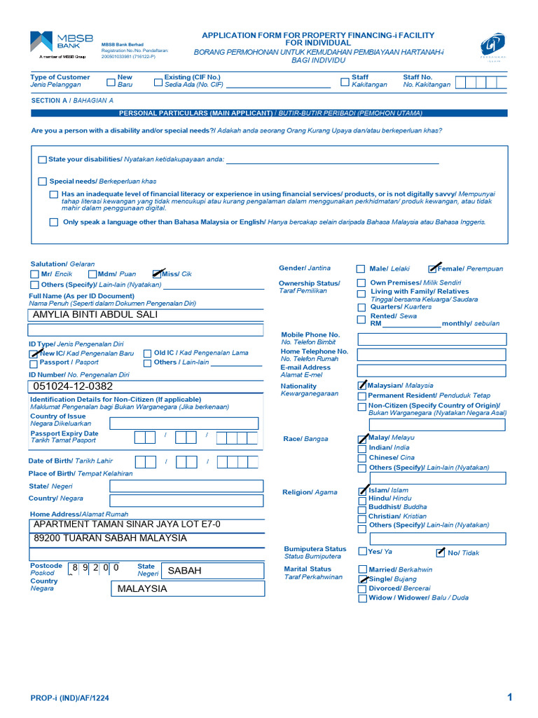 Personal Particulars (Main Applicant) : Amylia Binti Abdul Sali | PDF
