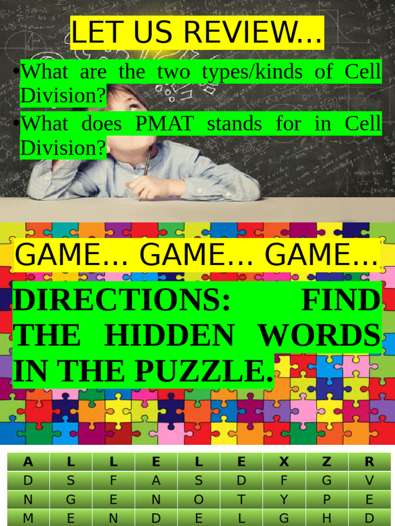 Lesson 4 - Mendelian Genetics | PDF | Dominance (Genetics) | Biological ...