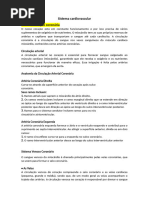 Anatomia do Sistema Venoso Ázigo | PDF | Veia | Coluna vertebral
