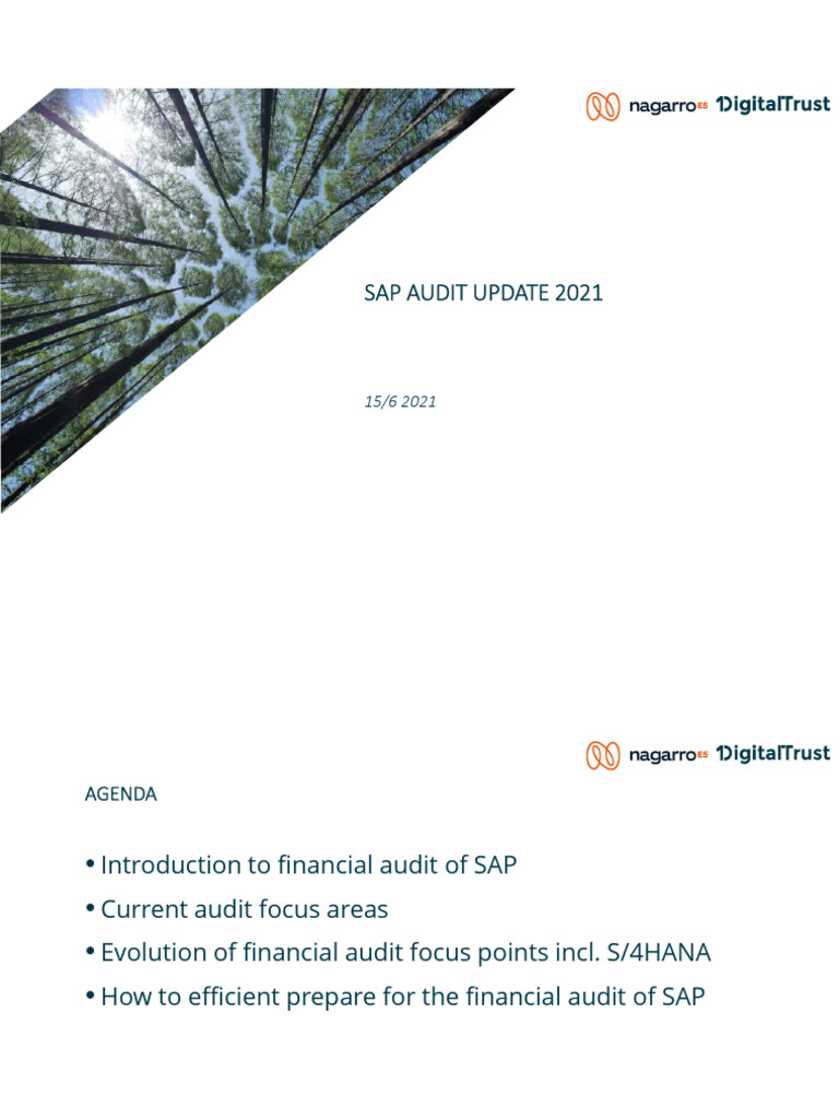 SAP Financial Audit Insights 2021 | PDF | Databases | Audit