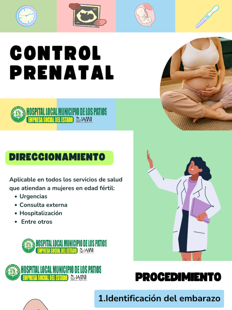 Control Prenatal: Guía Completa de Atención | PDF | El embarazo ...