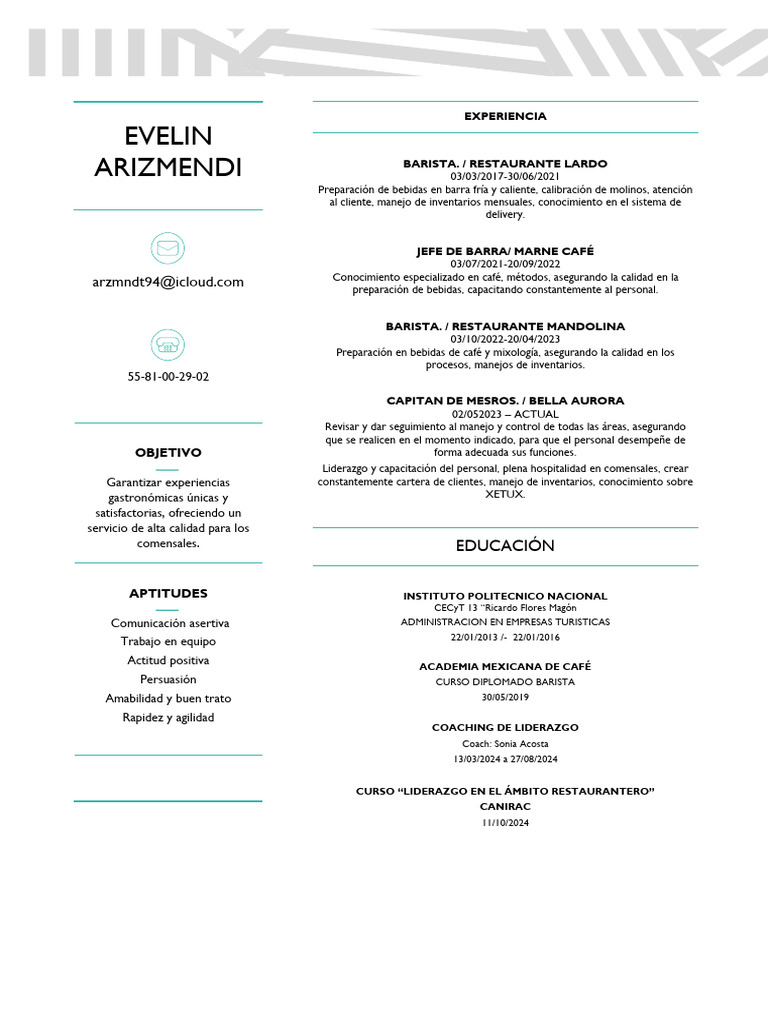 Evelin Arizmendi CV | PDF