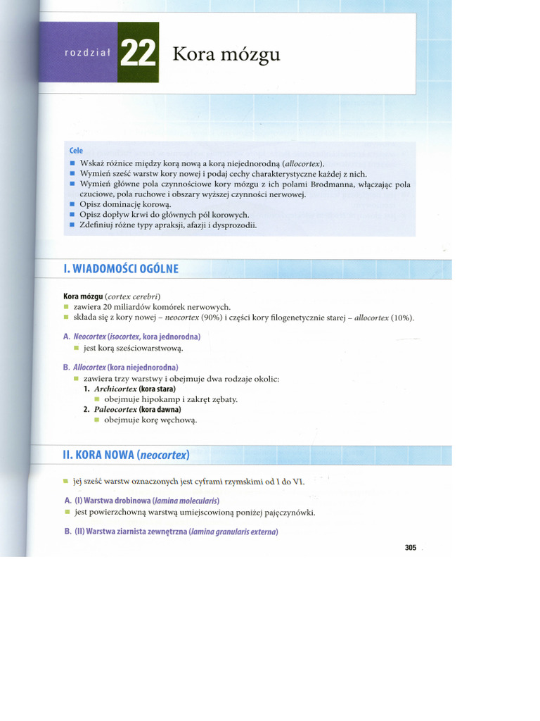 kora mózgu | PDF