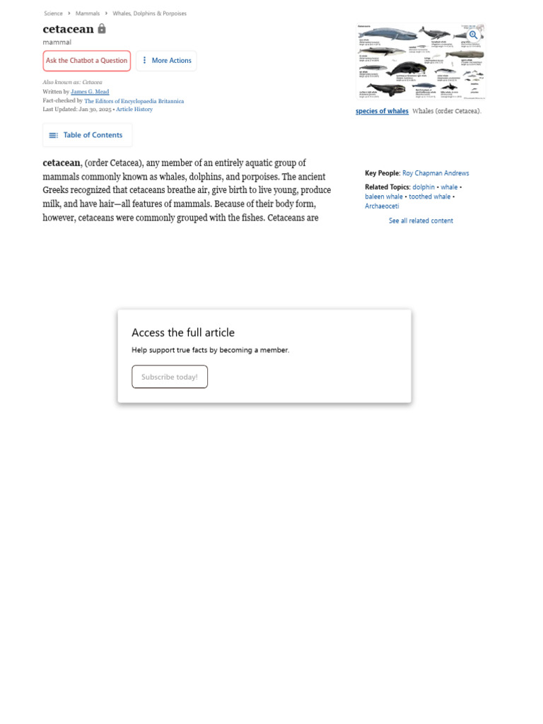 Cetacean - Life Span, Evolution, & Characteristics - Britannica | PDF