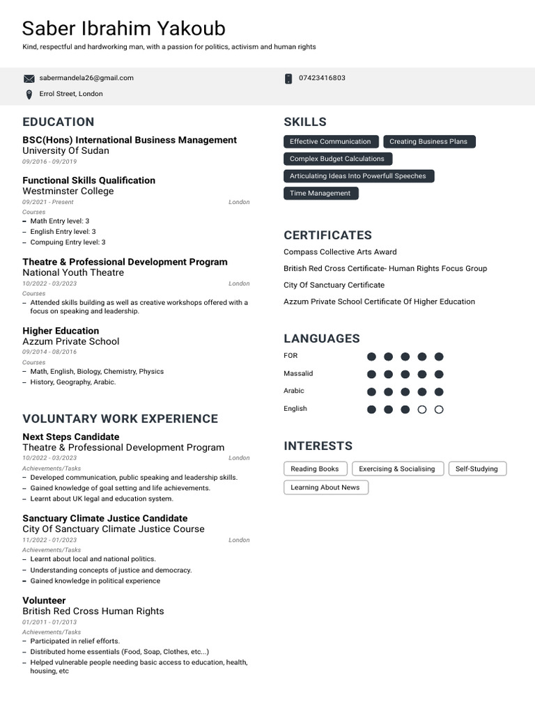 Political Activist & Business Graduate Profile | PDF | Volunteering