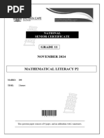 Mathematical Literacy Grade 11 Paper 1 June 2025 | PDF